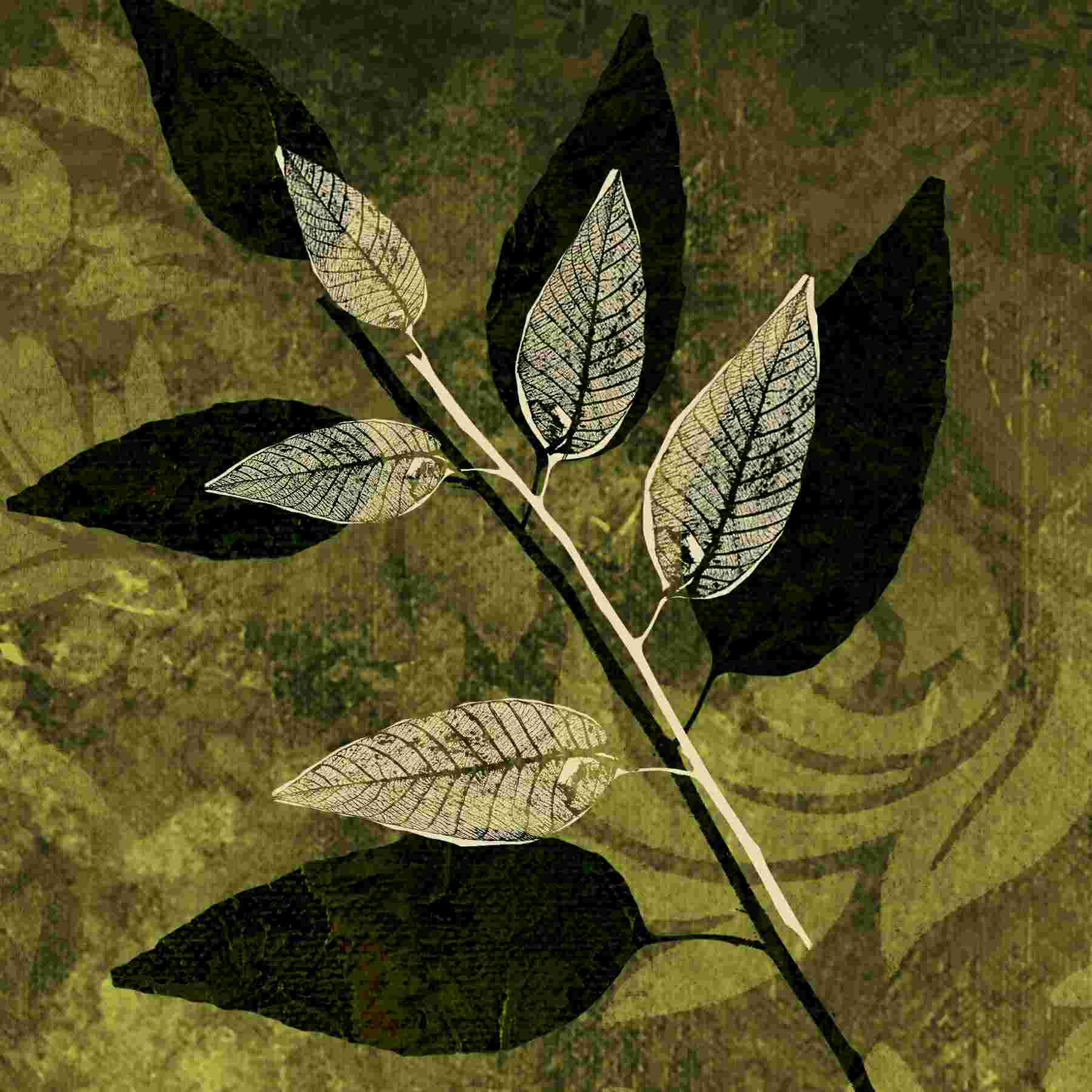 Winston Porter Stacked Leaves 4 - Wrapped Canvas Graphic Art | Wayfair