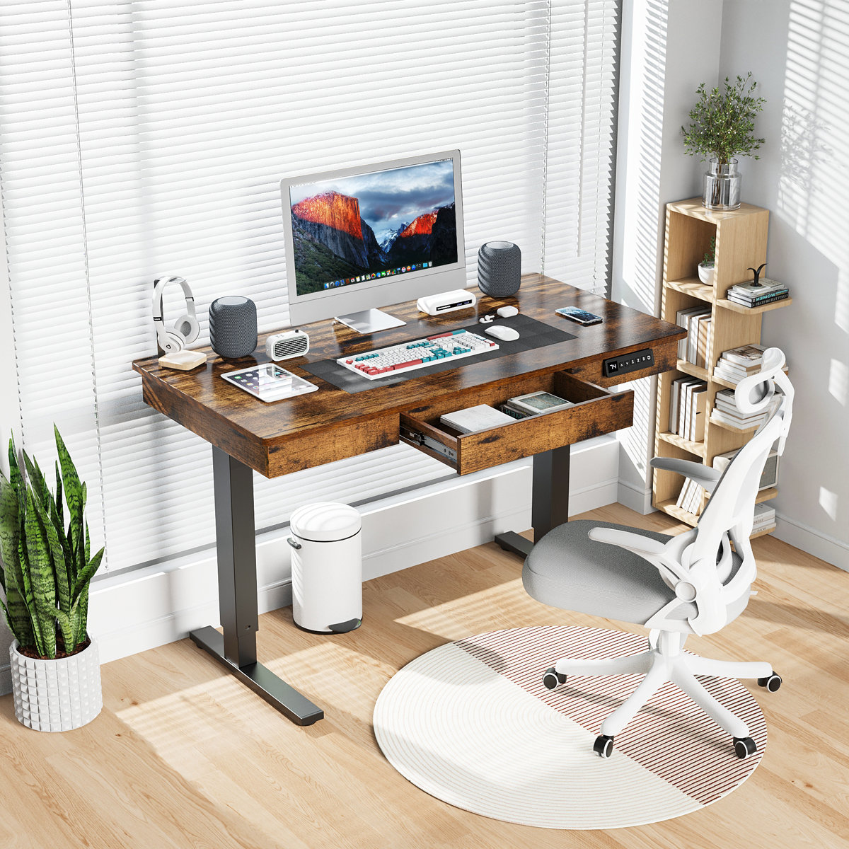 17 Stories Electric Standing Desk, 48 X 24 In Height Adjustable Desk ...