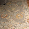 Birch Lane™ Vincent Oriental Rug & Reviews | Wayfair