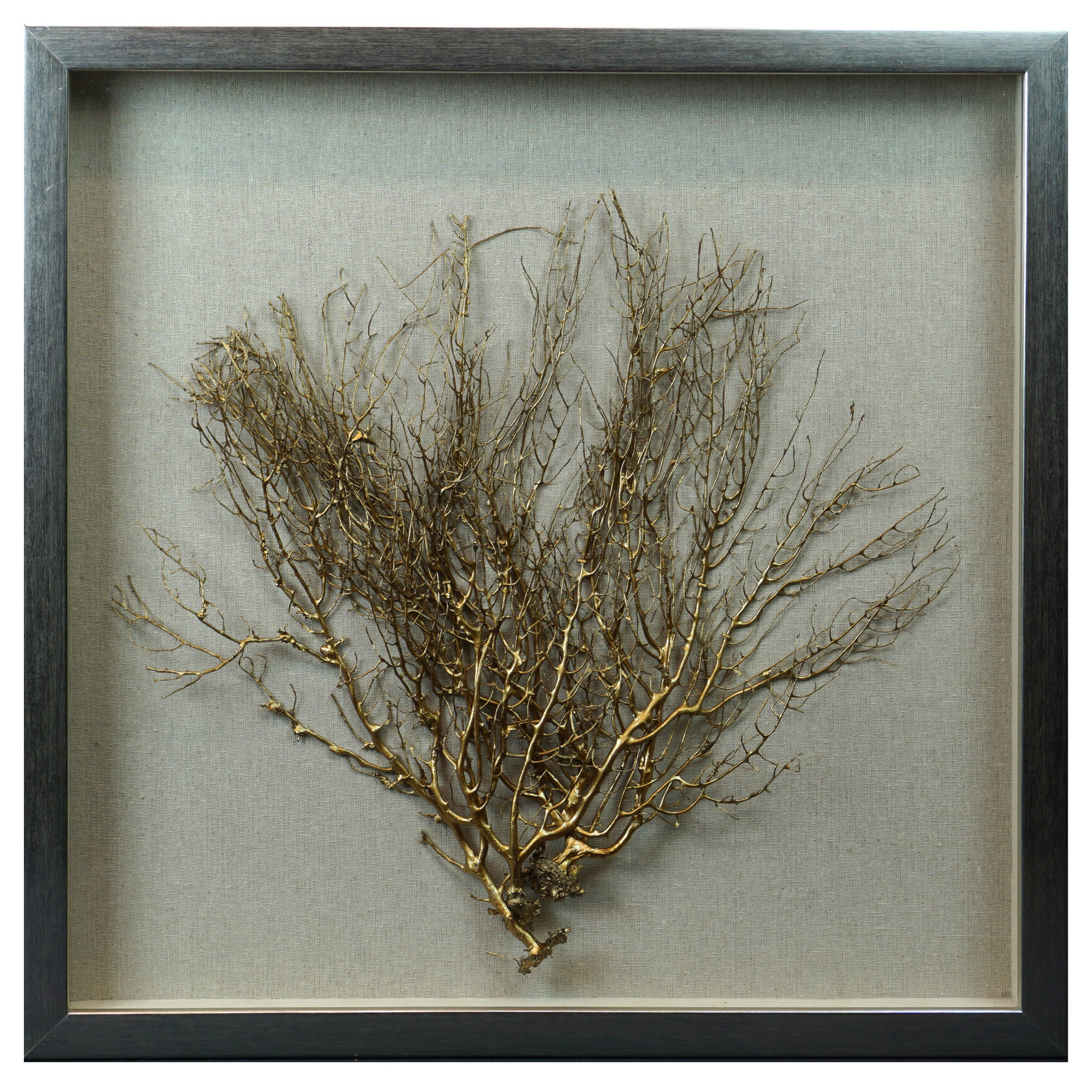 Millwood Pines Tree Roots Shadow Box Wall Décor | Wayfair