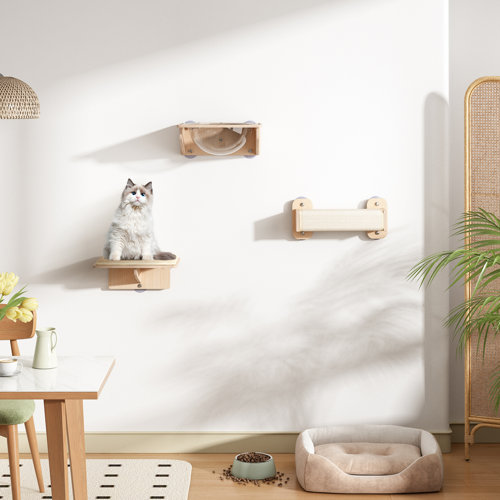Wall Mounted Cat Trees You'll Love - Wayfair Canada