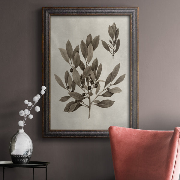 August Grove® Arbour Specimen IV Framed On Canvas Painting - Wayfair Canada