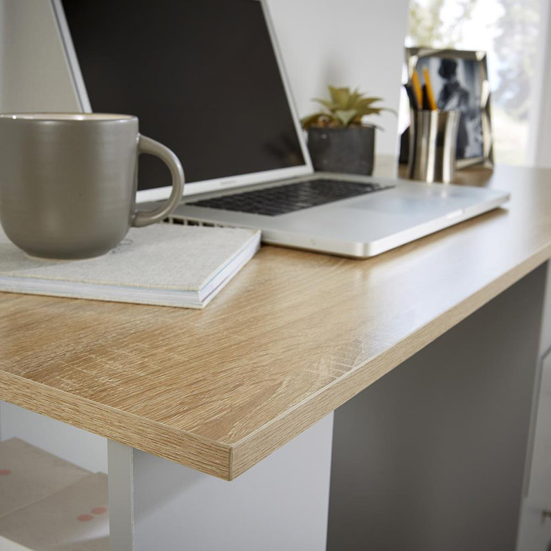 17 Stories Jeylani 120cm W Rectangular Computer Desk & Reviews ...