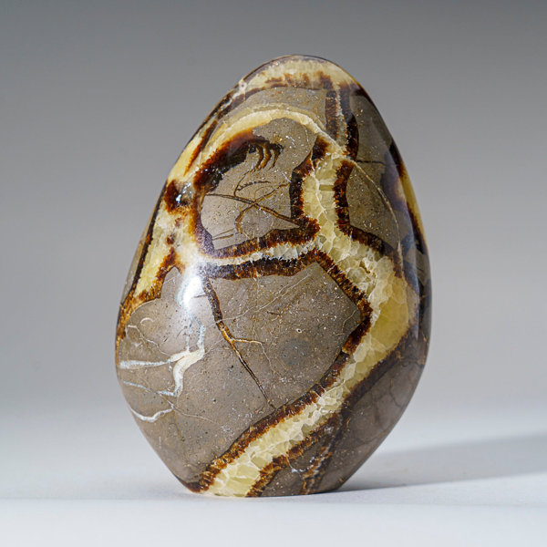 Astro Gallery of Gems Polished Septarian Freeform From Madagascar (1.8 ...