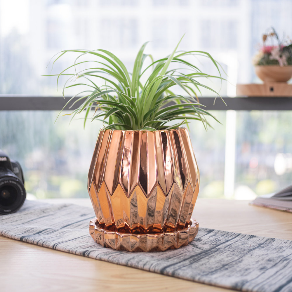 KRALIX 2-Piece Ceramic Pot Planter Set | Wayfair