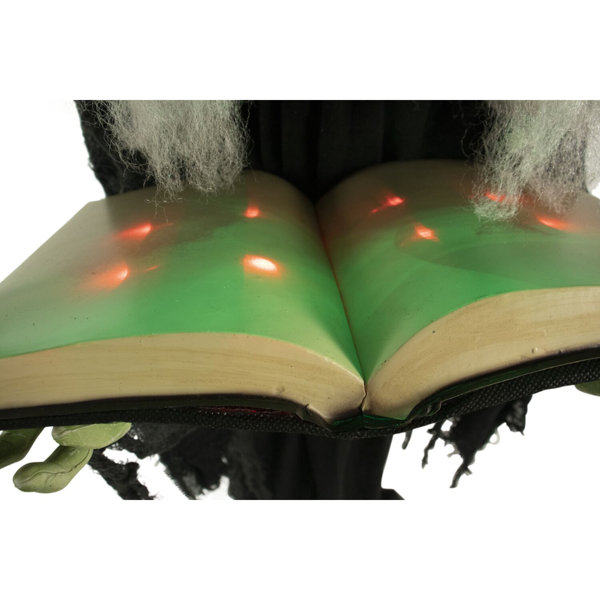 Haunted Hill Farm Life-Size Talking Witch Holding Spell Book, Halloween ...