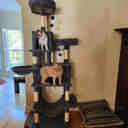 Archie & Oscar™ Timmins 78.3" Multi-Level Cat Tree with Cat Scratching ...