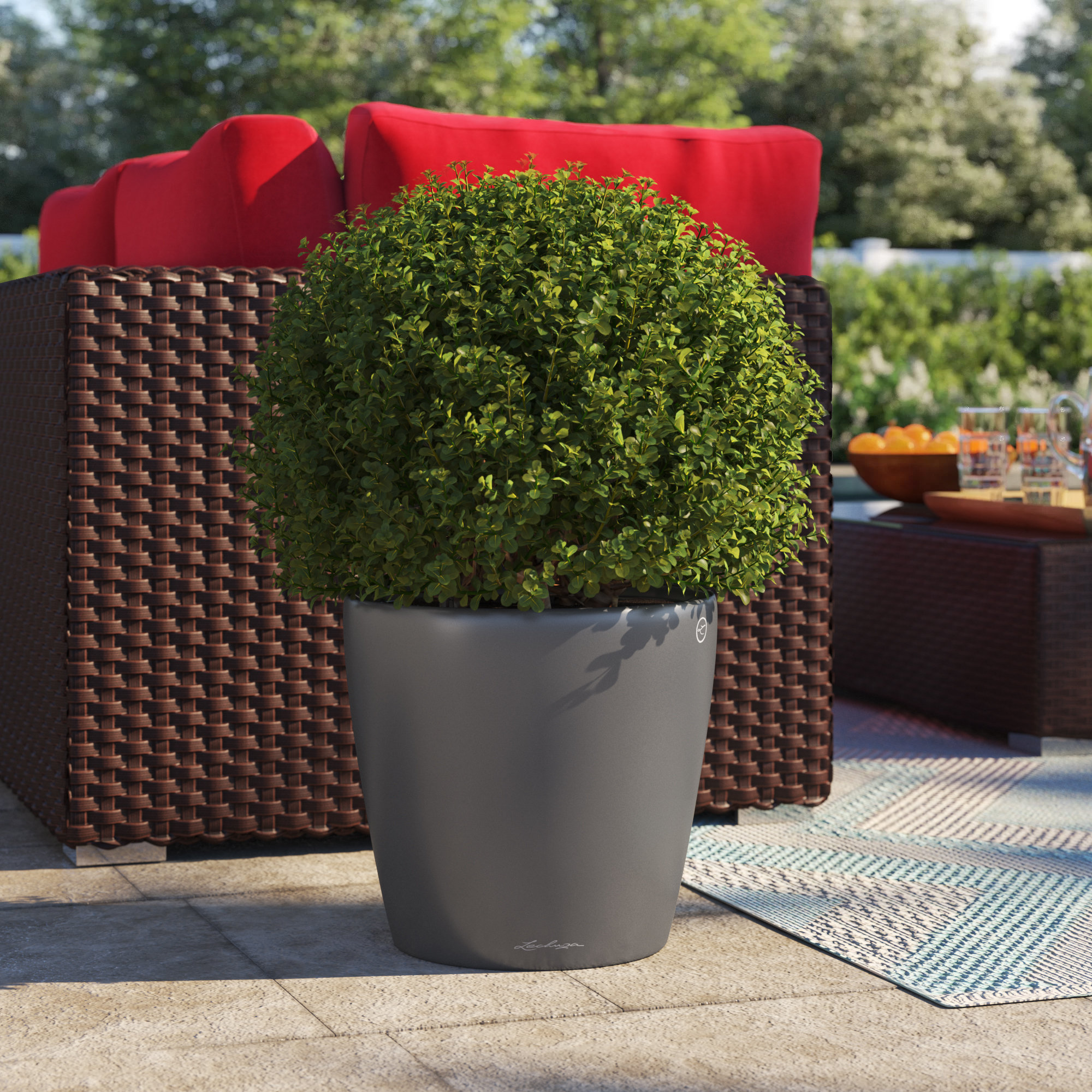 Lechuza Classico Self Watering Plastic Pot Planter & Reviews | Wayfair