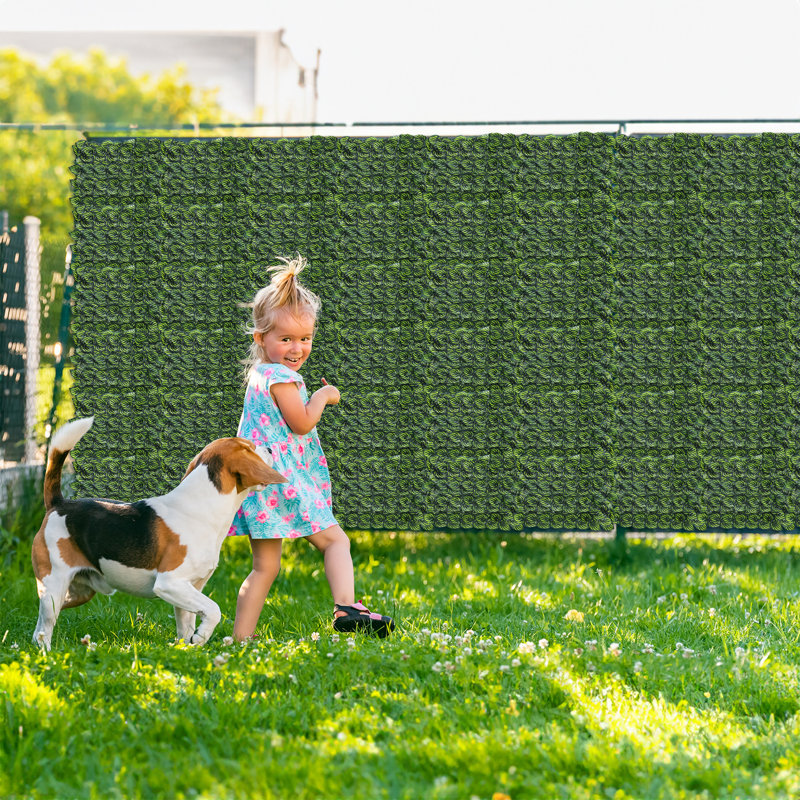 Haitral & Reviews | Wayfair