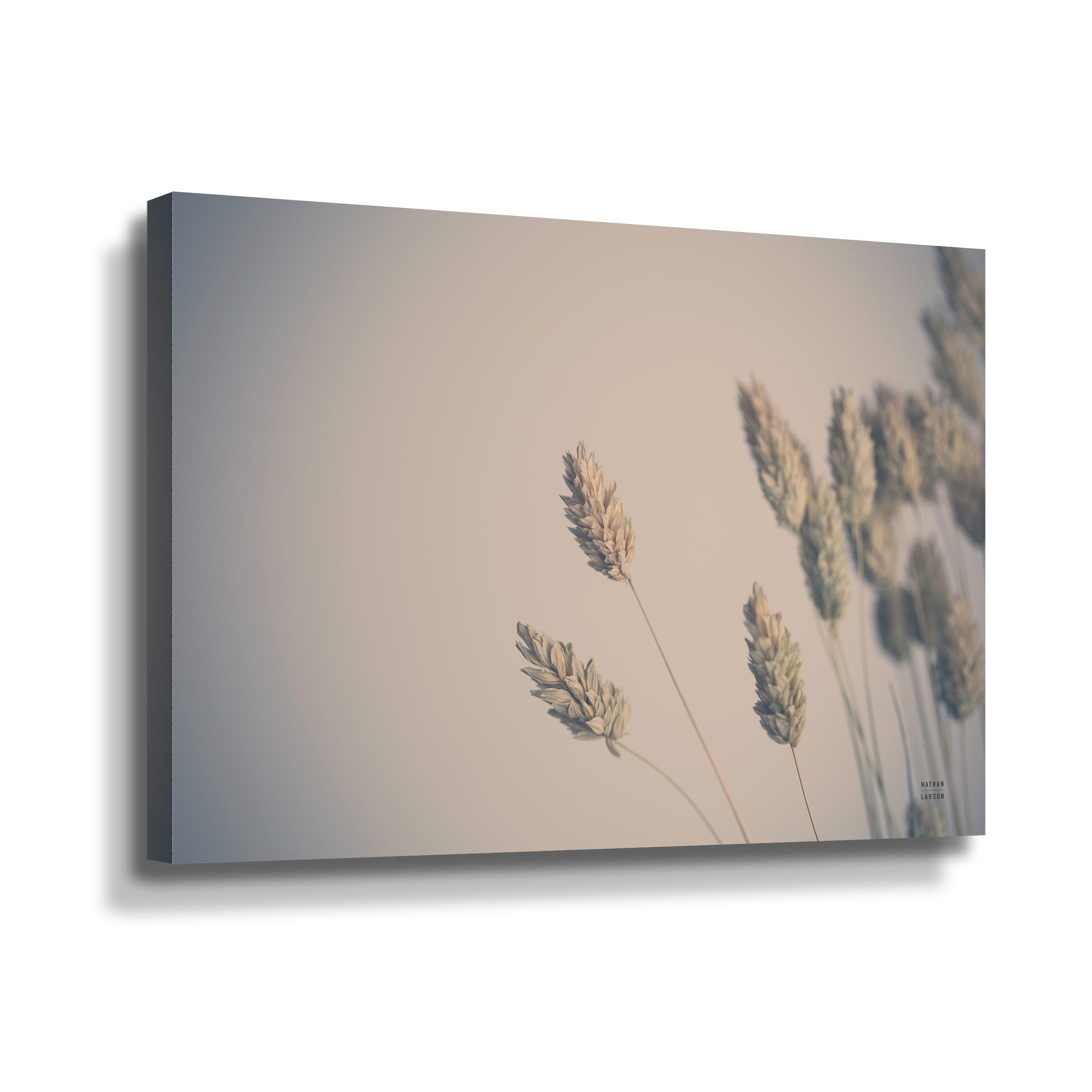Ebern Designs Dried Grass Study Dried Grass Study - Photograph on ...