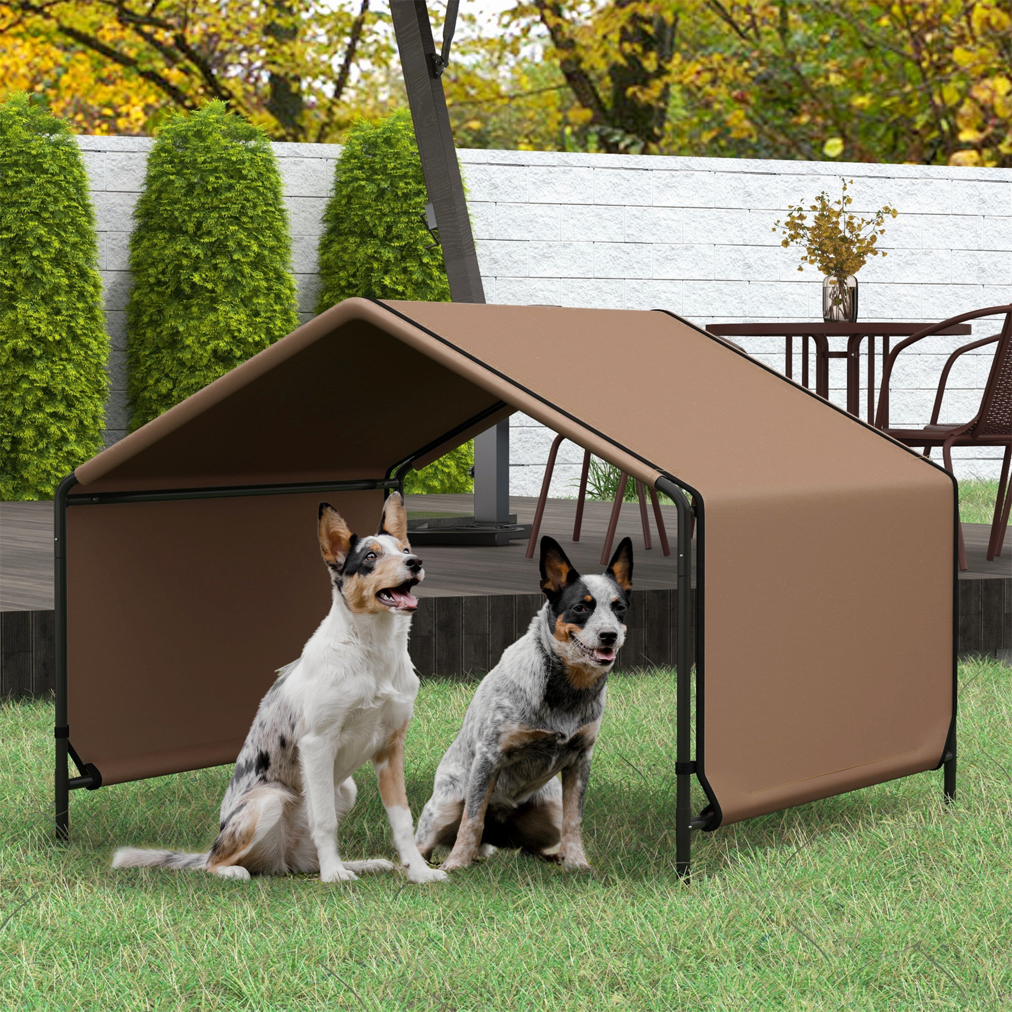 Tucker Murphy Pet™ Hadalyn Portable Waterproof Dog Tent for Outdoor ...