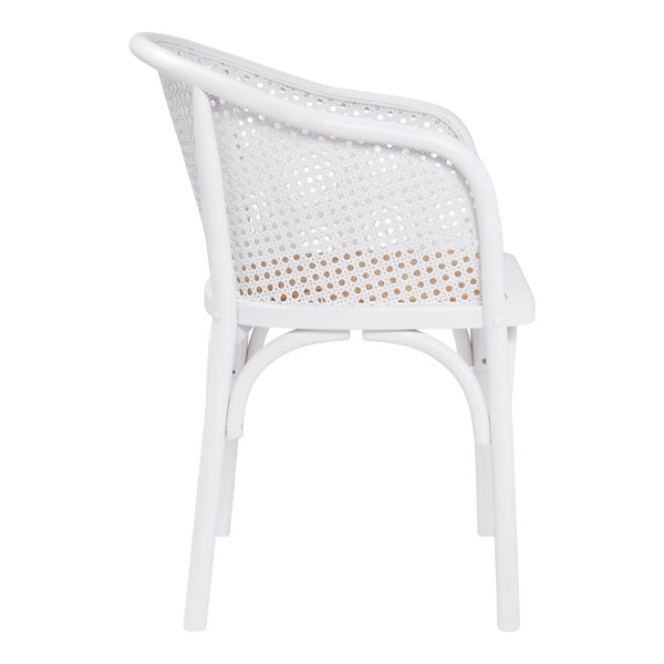 Joss & Main Fabiana Arm Chair & Reviews | Wayfair