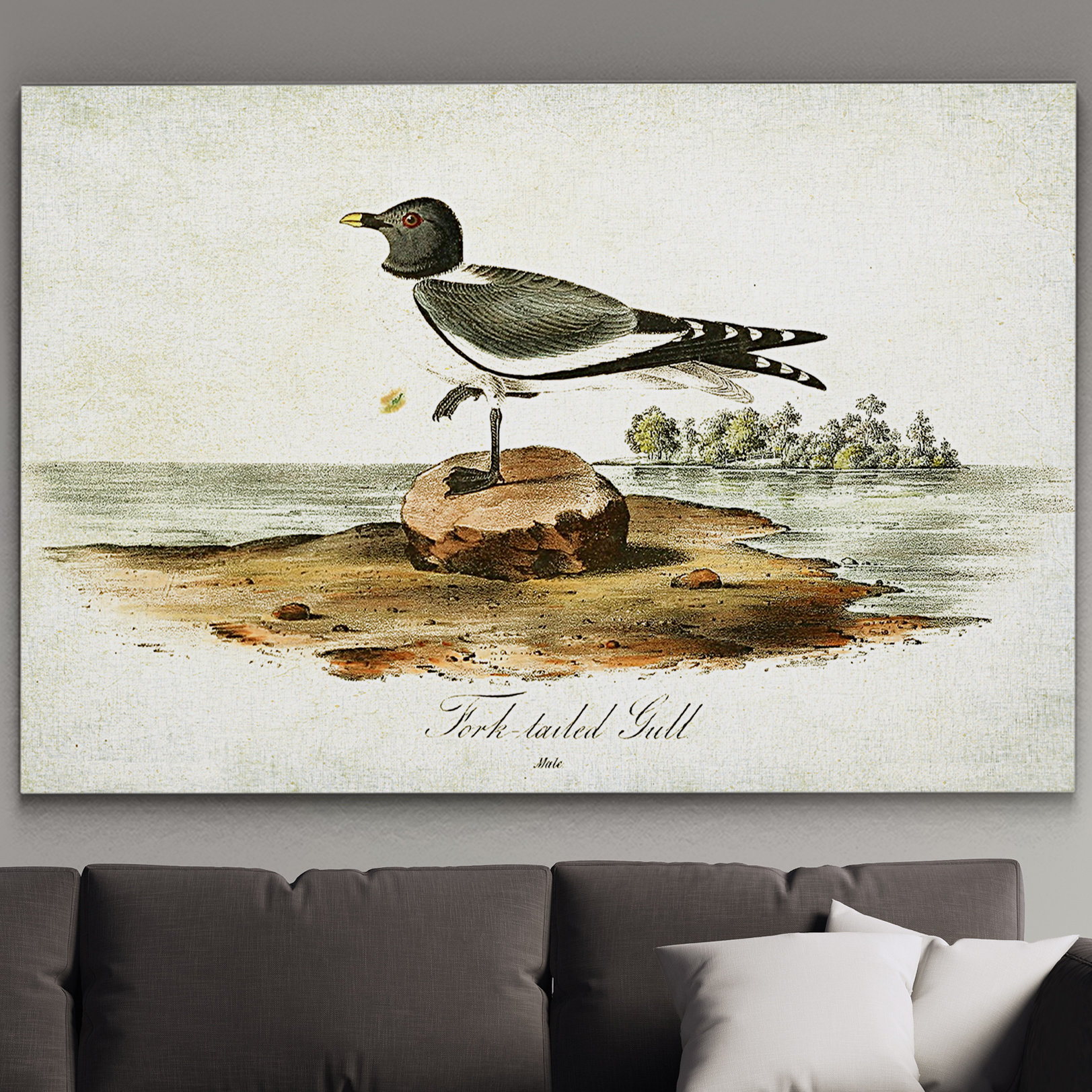 Longshore Tides 'Aviary Drawing VI' Graphic Art Print - Wayfair Canada
