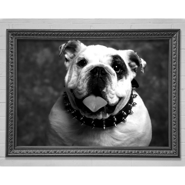 Brayden Studio English Bulldog - Single Picture Frame Print | Wayfair.co.uk