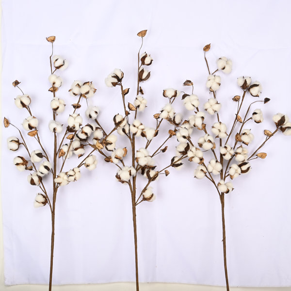 Primrue Farmhouse Cotton Arrangement Rustic Long Stems | Wayfair