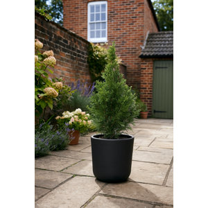 Dakota Fields Ashley Round Egg Planter, Concrete Effect Polystone ...