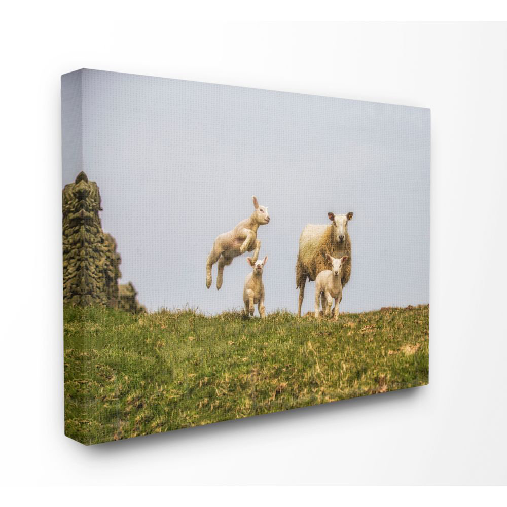 Winston Porter 'Baby Sheep Family Farm Animal Landscape Photo' Graphic ...