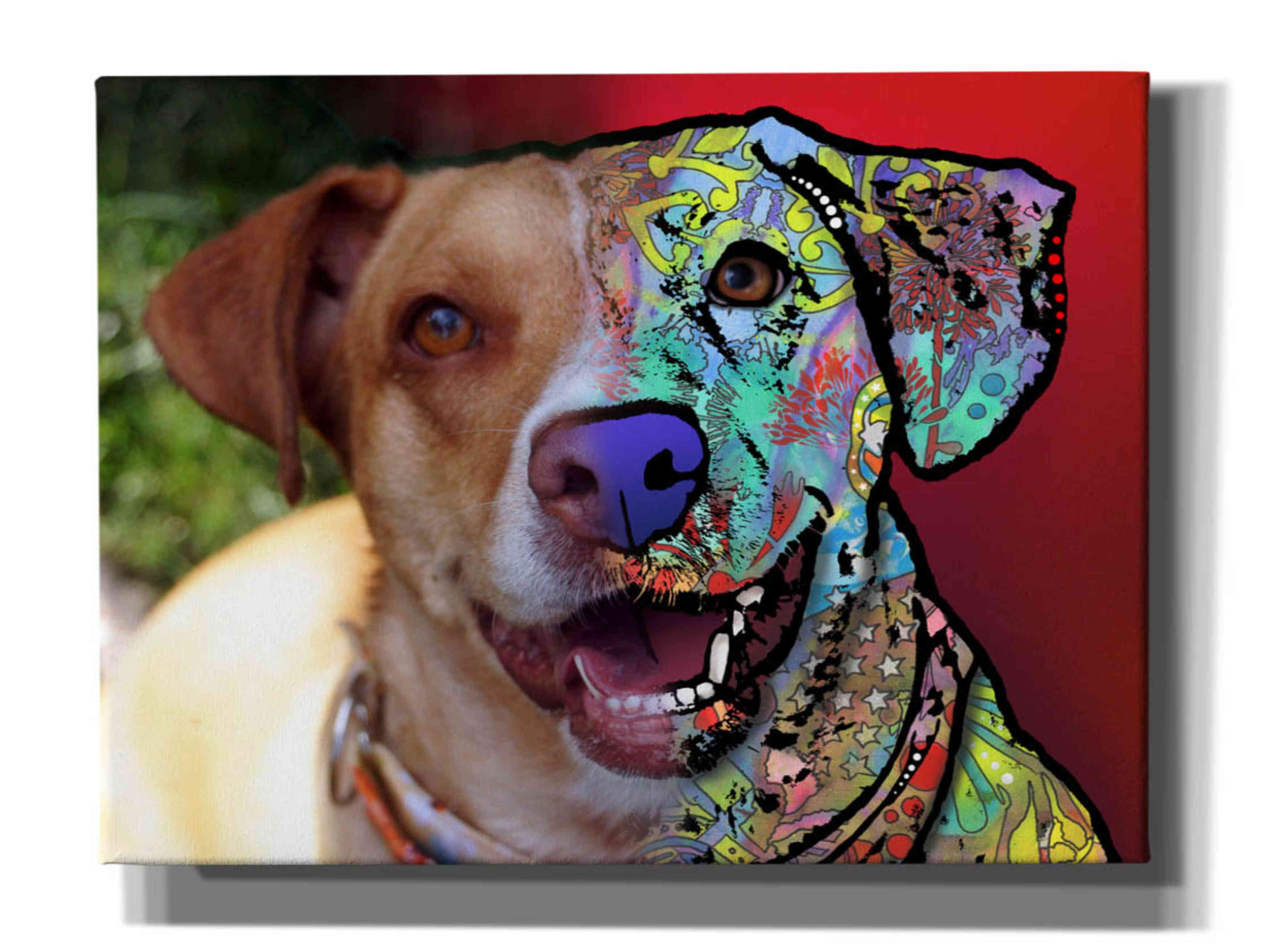 Red Barrel Studio® ''Mary Tithof3'' By Dean Russo, Canvas Wall Art ...
