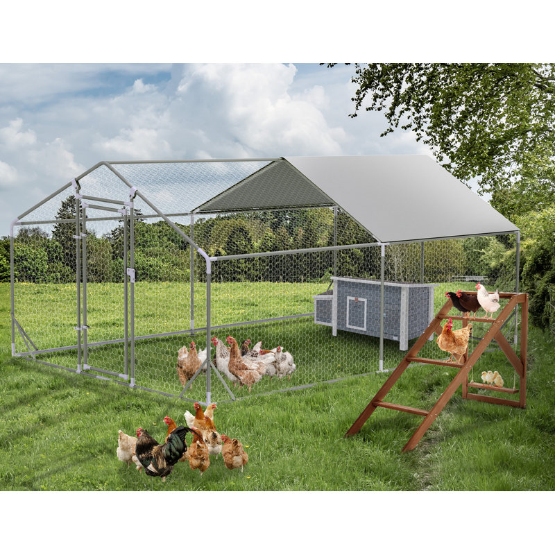 Tucker Murphy Pet™ Erineo 129.17 Square Feet Chicken Coop For Up To 14 ...