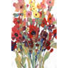 Winston Porter Daylight Bloom II On Canvas by Tim OToole Print | Wayfair