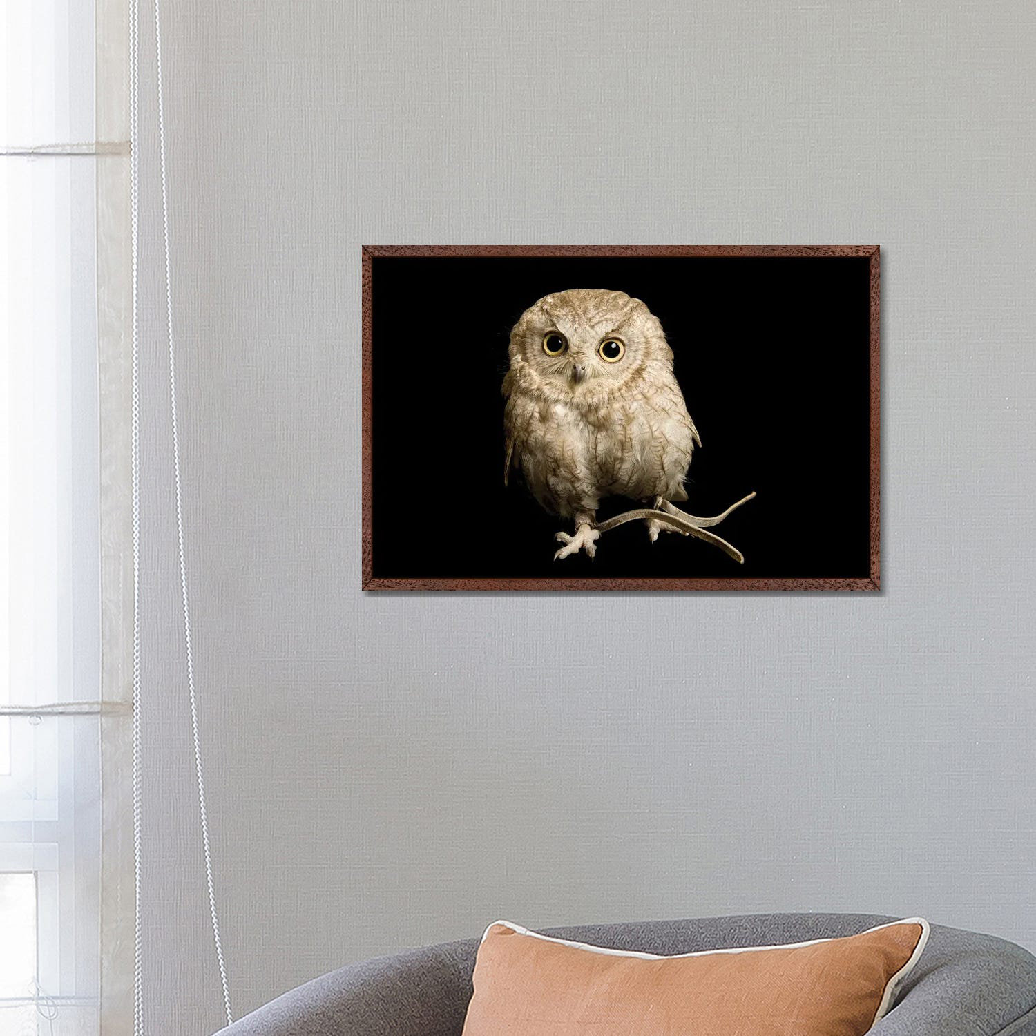 Union Rustic A Western Screech Owl, Sonoran Desert Colorphase At The ...