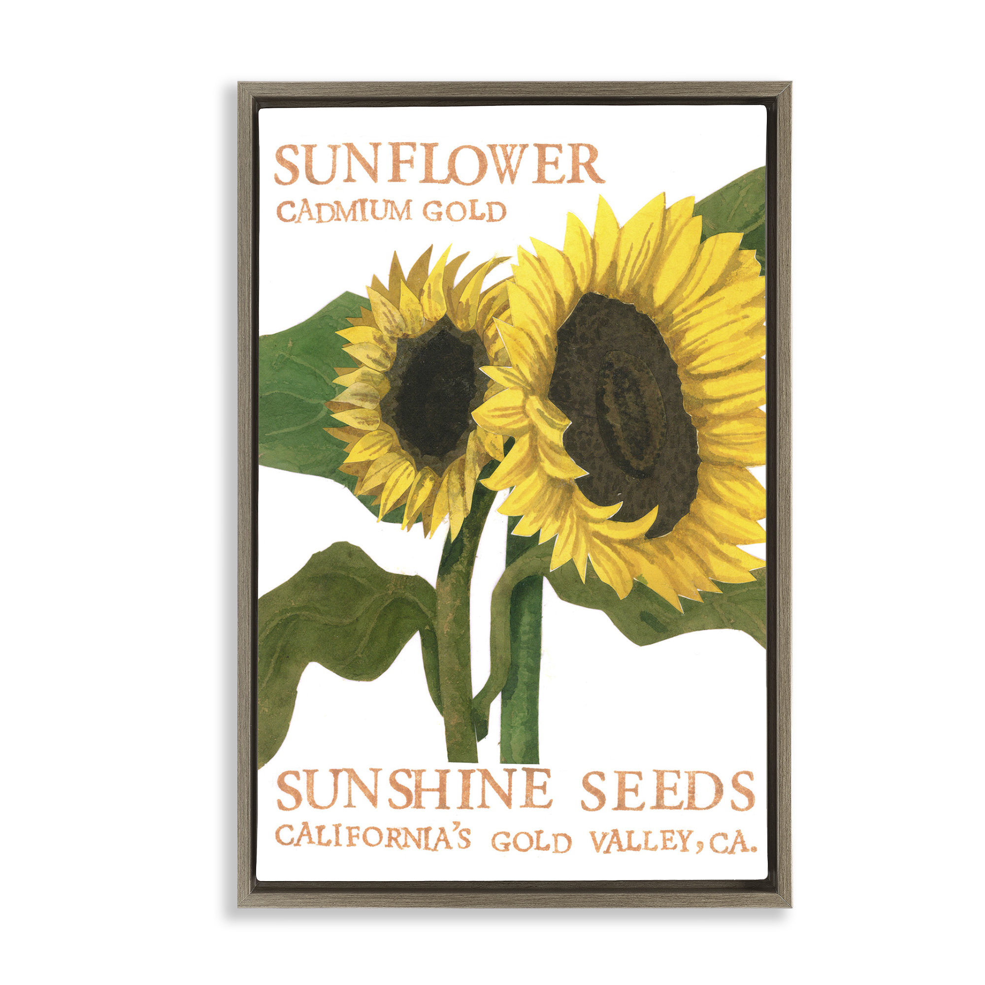 August Grove® Sunflower Seeds Design Brown Framed Floater Canvas by ...