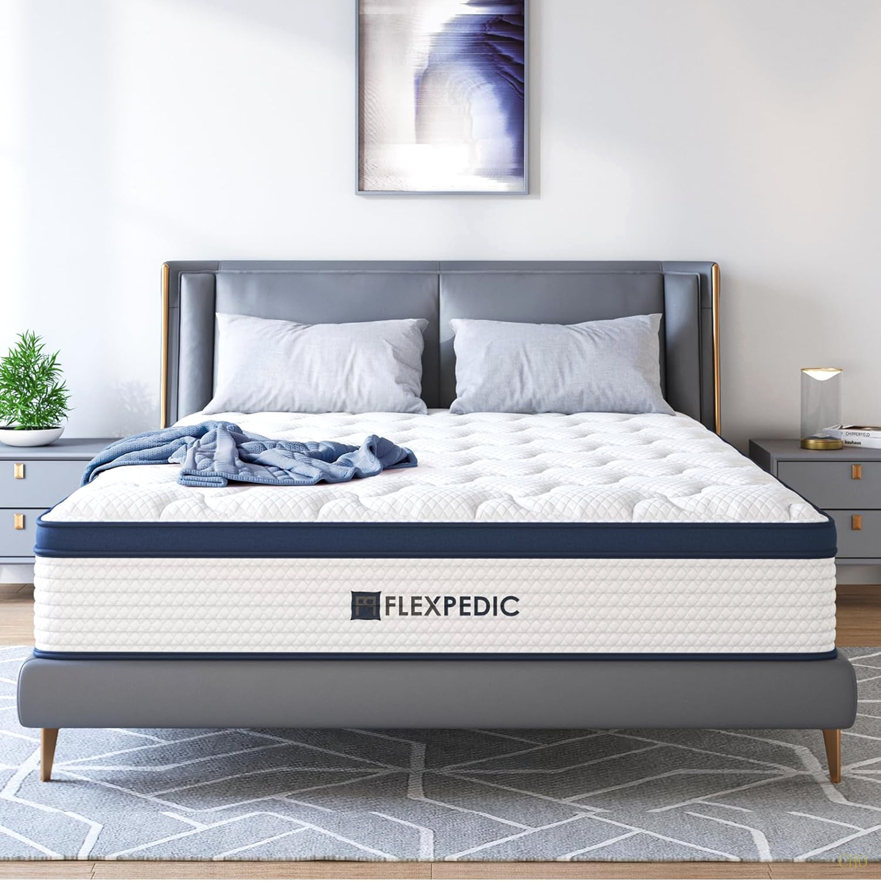 Alwyn Home 10" Mattress, Memory Foam Massucci Mattress With Space ...