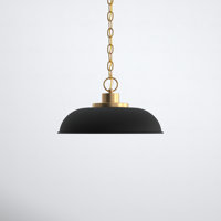Black Single Pendant Lighting You'll Love | Wayfair