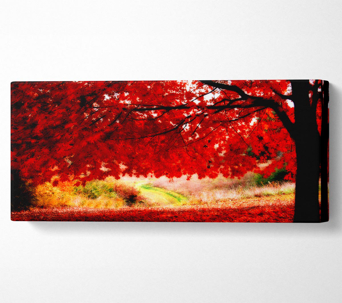 Ebern Designs Red Autumn Tree - Print | Wayfair.co.uk
