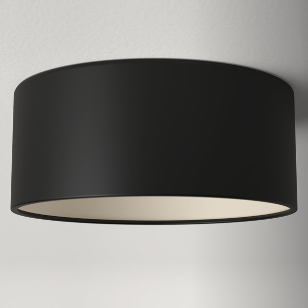 AllModern Leni LED Outdoor Flush Mount | Wayfair
