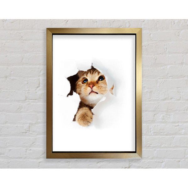 Bright Star Cat Breakthrough - Single Picture Frame Print | Wayfair.co.uk