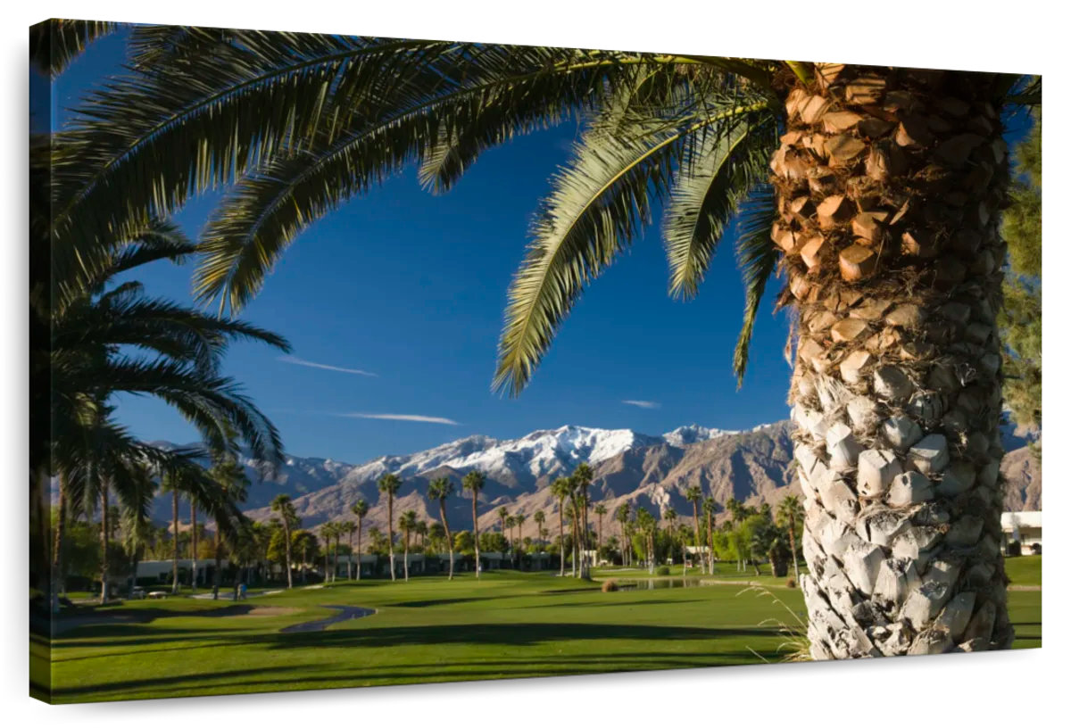 Ebern Designs Sireci Desert Princess Golf Course - Wayfair Canada