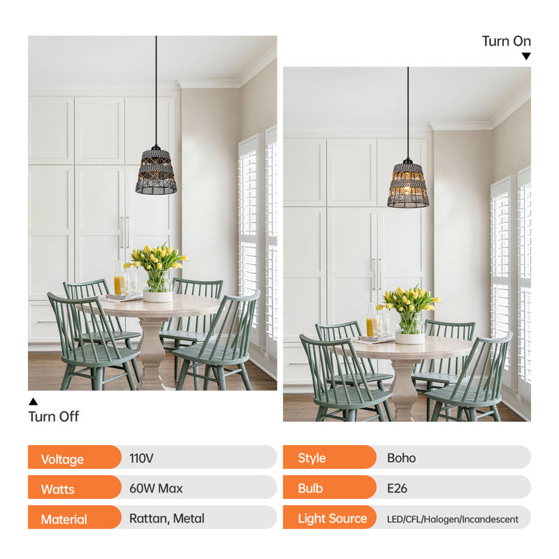 Breakwater Bay Farmhouse Pendant Light Fixtures, 1-light Small Hand ...