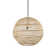 Bayou Breeze Aletse 1 - Light Single Pendant & Reviews | Wayfair