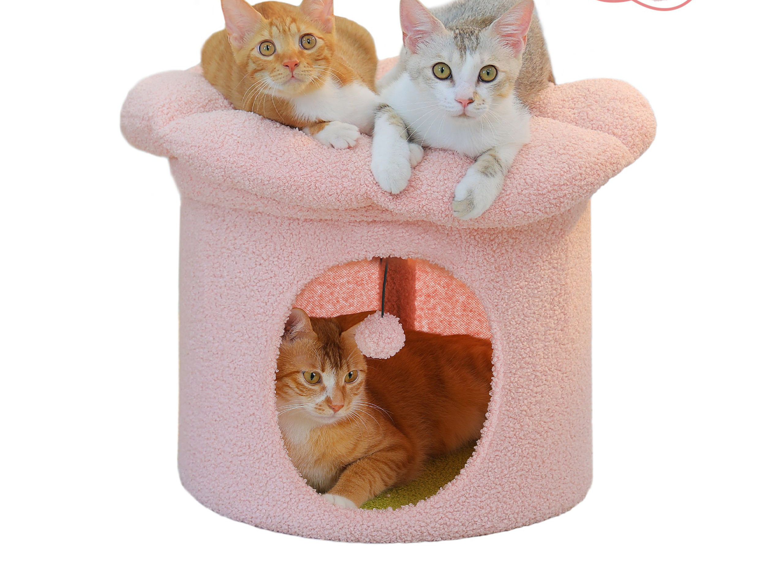 Tucker Murphy Pet™ Indoor cat tree with condo - Wayfair Canada