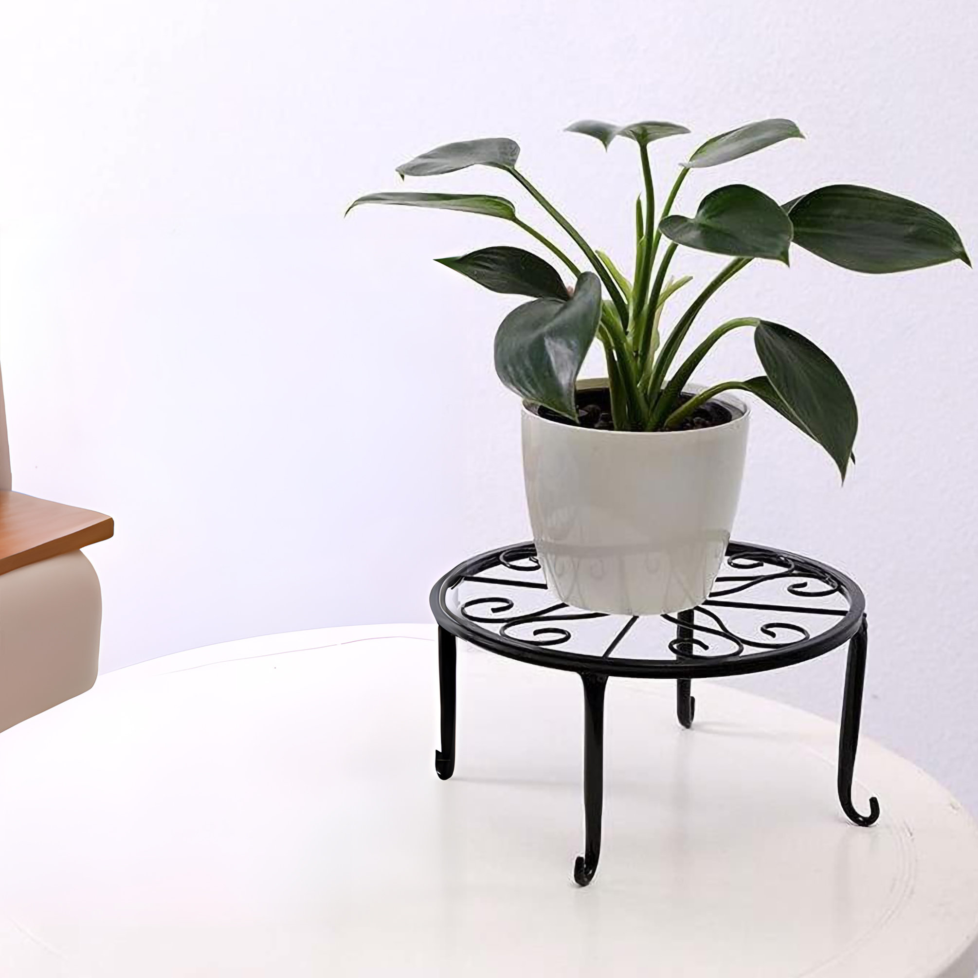 Arlmont & Co. Stevyn Plant Stand - Wayfair Canada