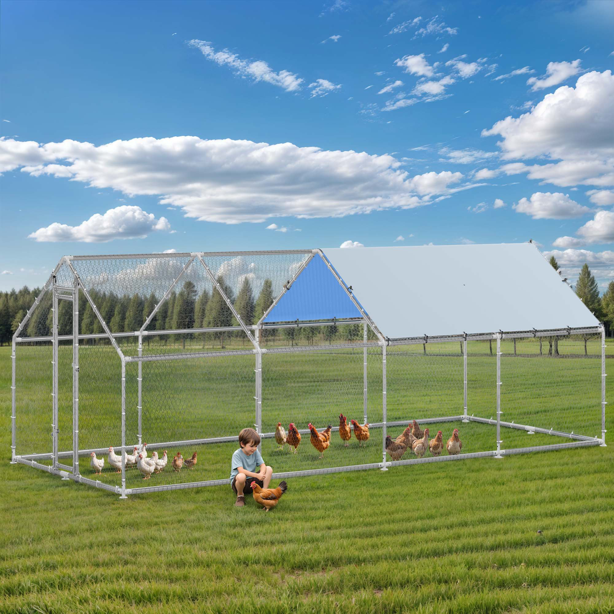 Tucker Murphy Pet™ Outdoor Chicken Run Chicken Coop with Pointed Roof ...