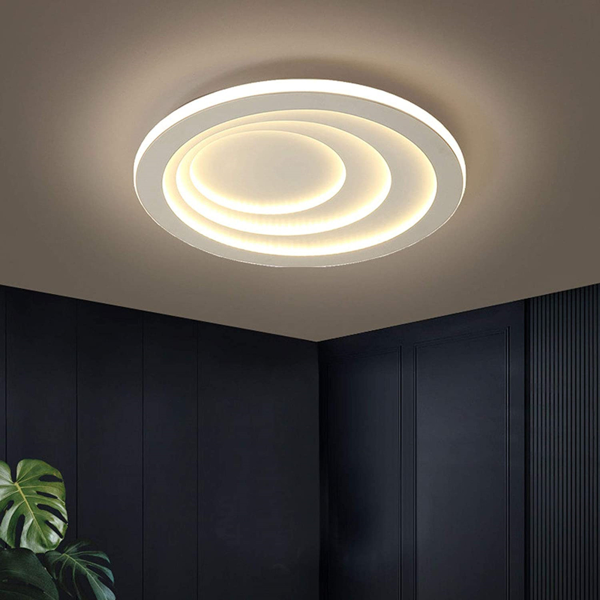 Ivy Bronx Kupang 19.7" Modern Acrylic Ceiling Light (Warm Light Without ...