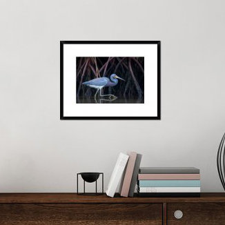 Global Gallery 'Stalking in the Mangroves' by Greg Barsh Framed ...