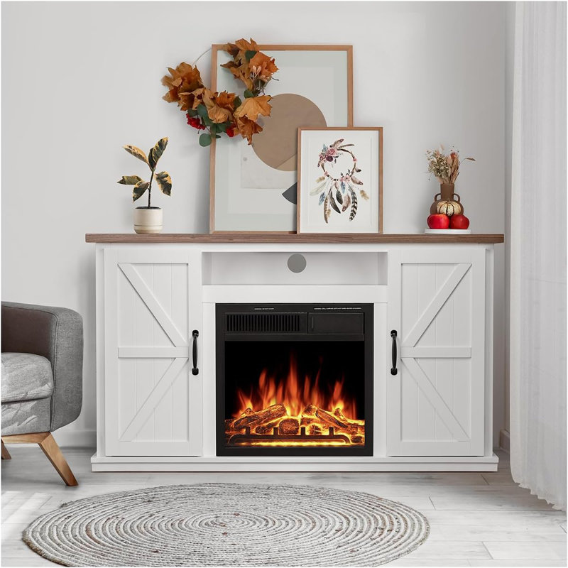 Laurel Foundry Modern Farmhouse® Hinkle 47" Fireplace TV Stand With ...