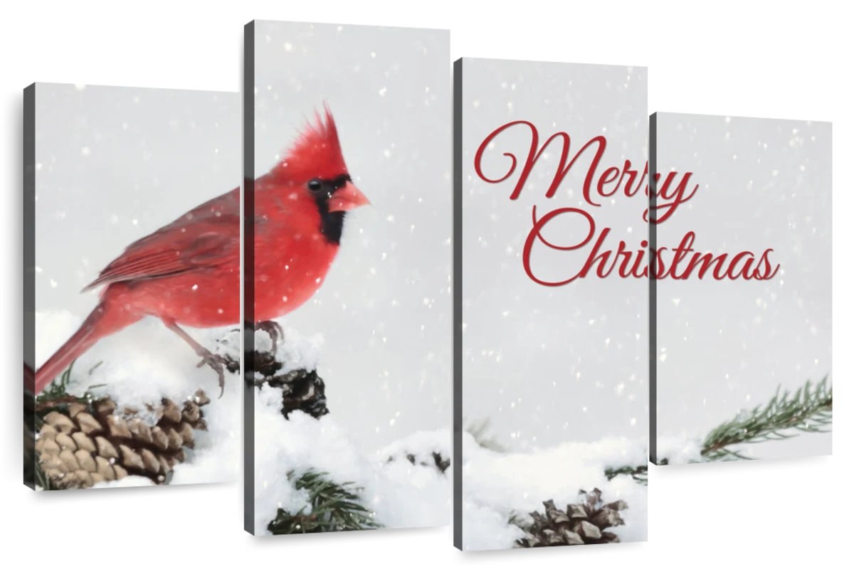 Elephant Stock Merry Christmas Cardinal | Wayfair