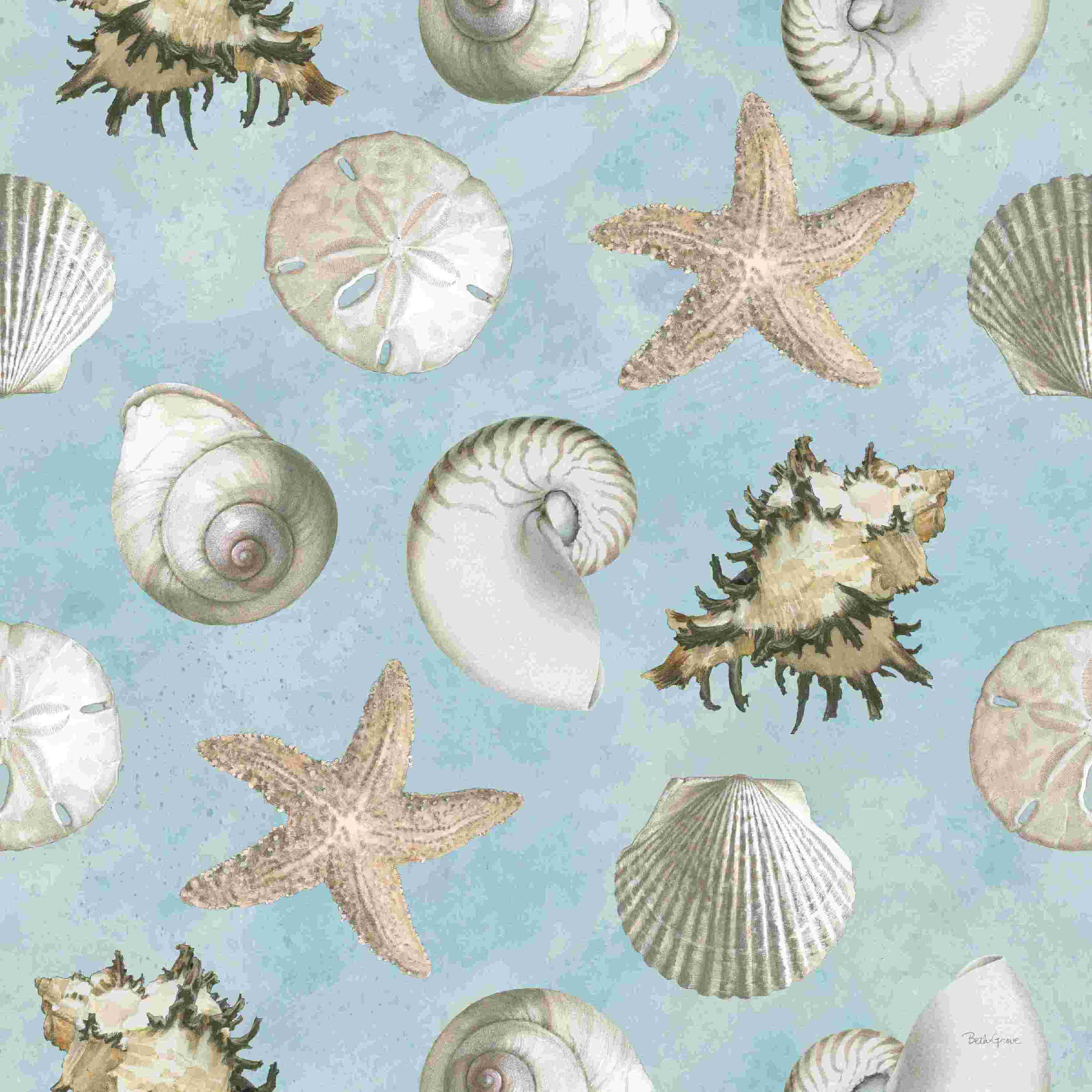 Highland Dunes Sandy Shells Blue Shell Toss | Wayfair