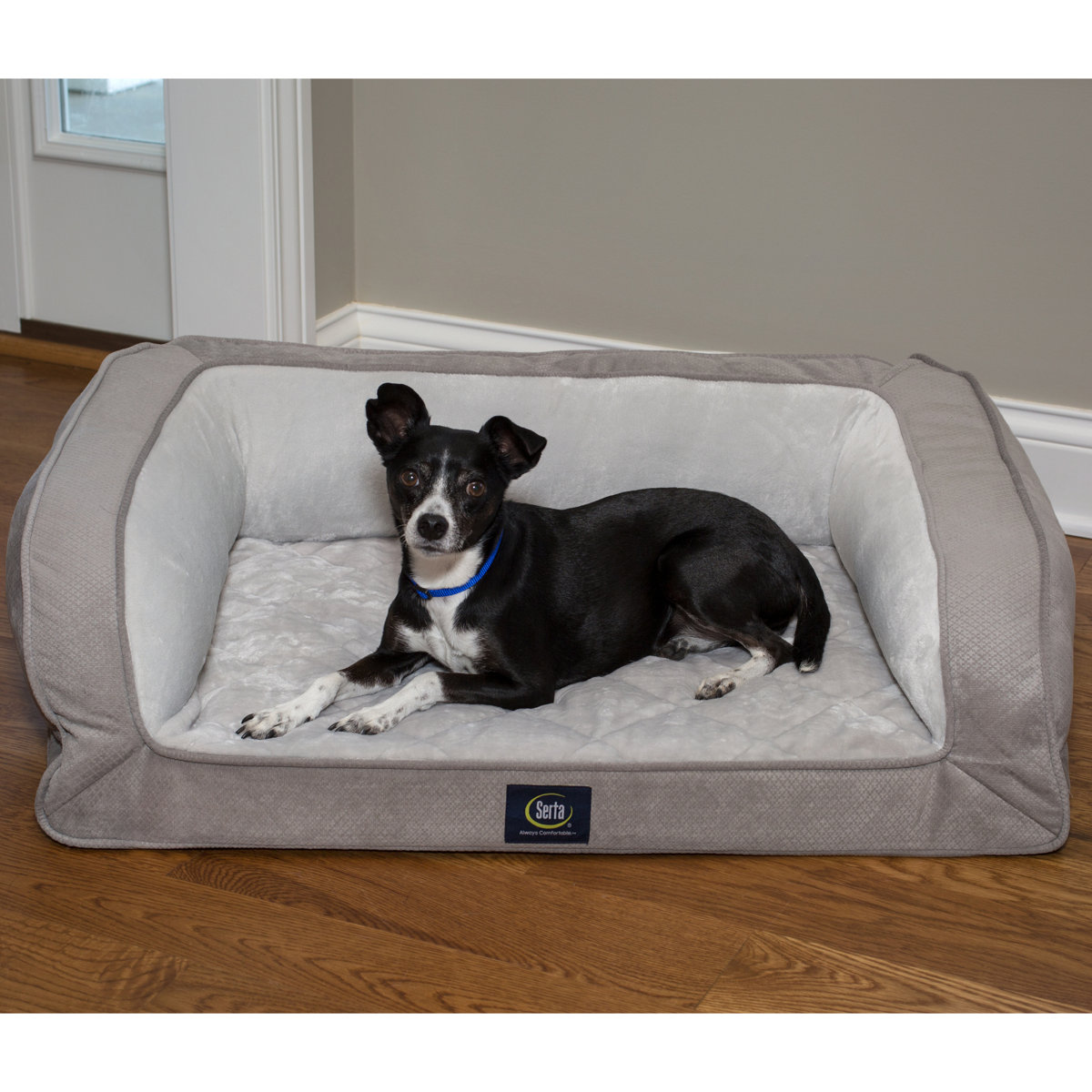 Serta Quilted Couch Pet Bed & Reviews | Wayfair