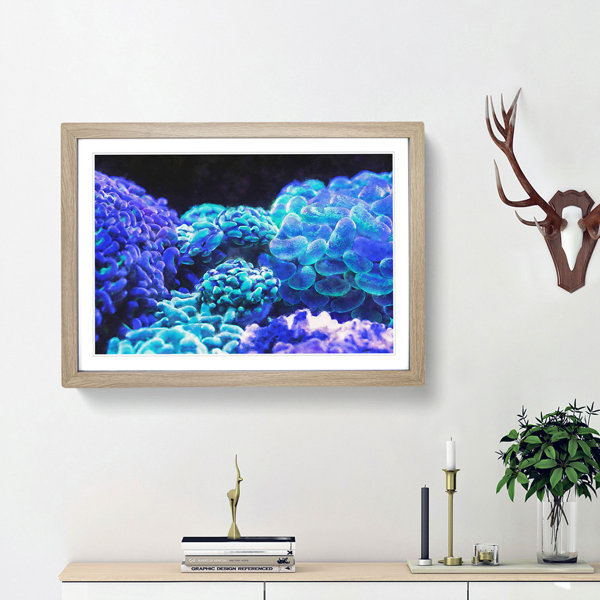 East Urban Home Neon Coral - Picture Frame Graphic Art Print | Wayfair ...