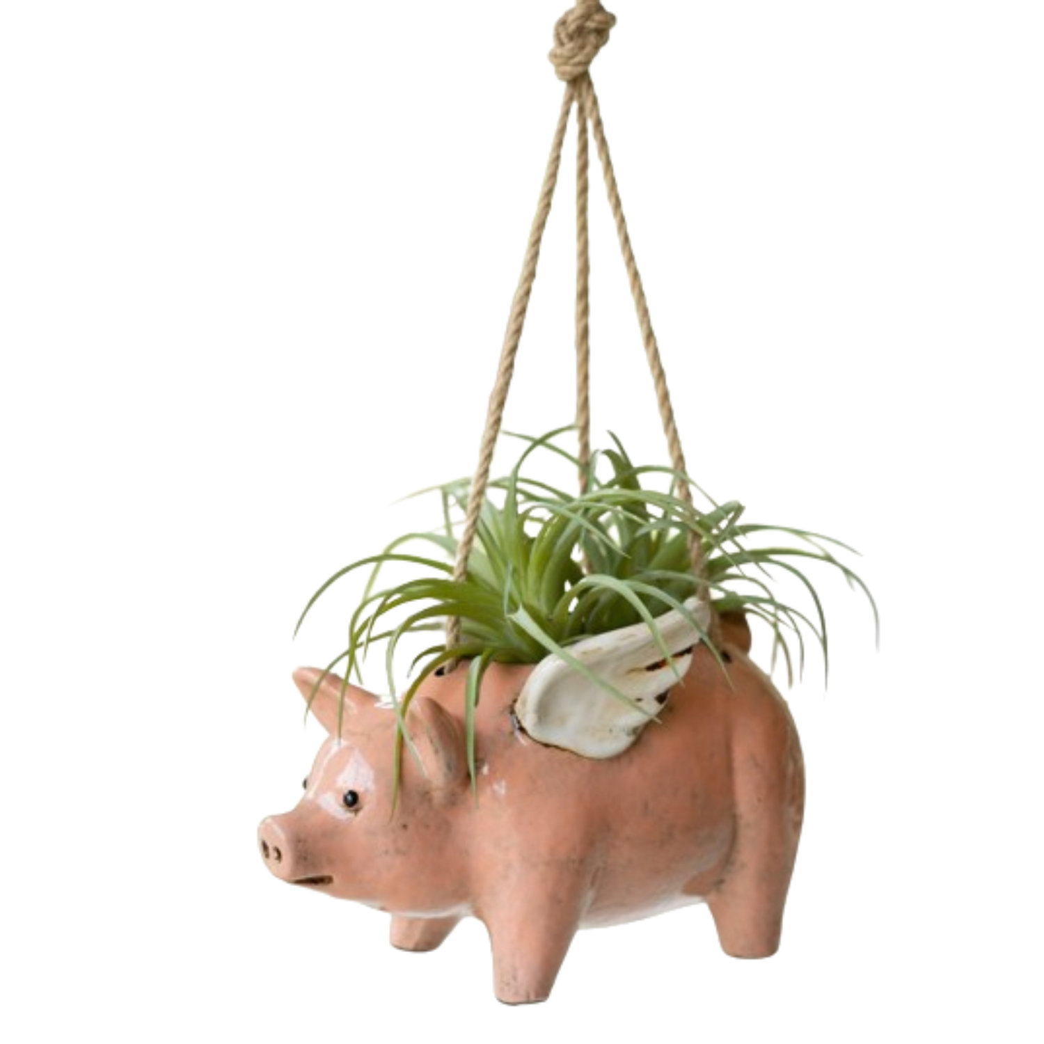 Trinx Ceramic Hanging Flying Pig Planter In Brown - Wayfair Canada