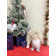 The Seasonal Aisle Gonk with Reindeer Slippers | Wayfair.co.uk