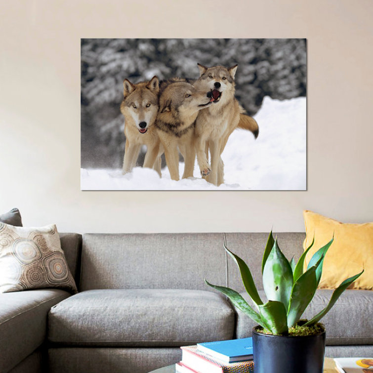 East Urban Home " Timber Wolf Trio Playing In Snow, Montana " by Tim ...