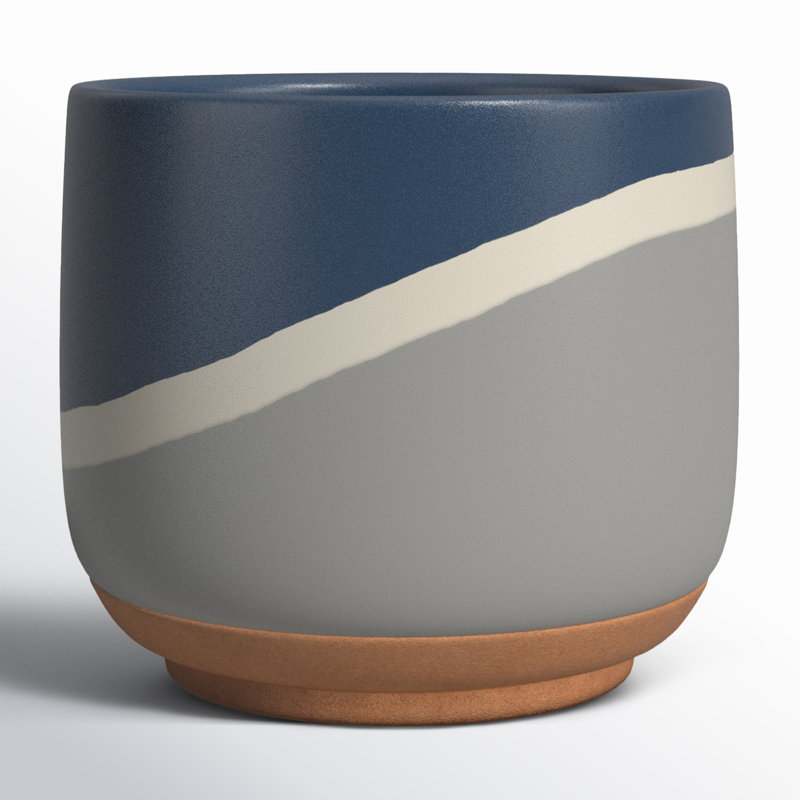 AllModern Tami Ceramic Pot Planter | AllModern