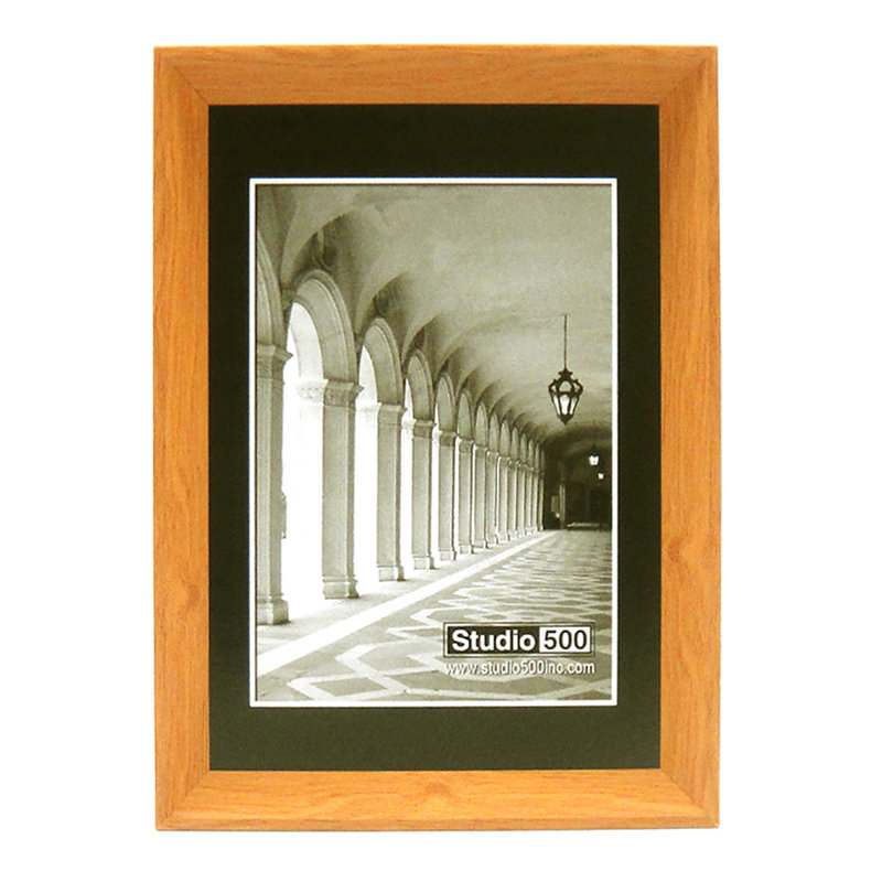 Studio 500 Traditional Collection Single Picture Frame & Reviews | Wayfair