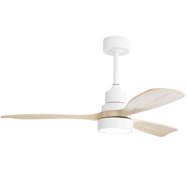 40-inch-ceiling-fan | Wayfair